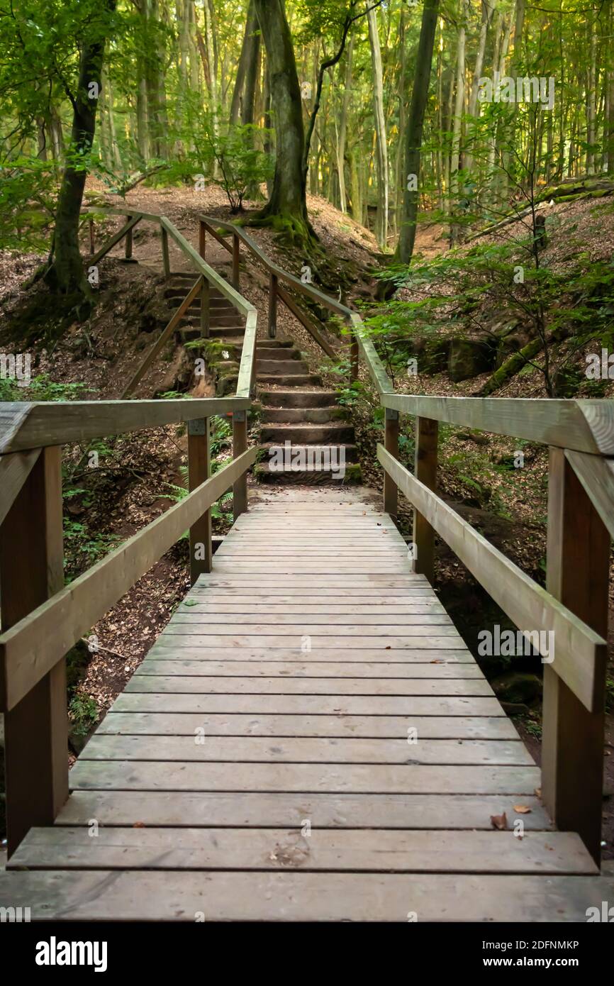 Bridge over a small stream along a walking path in Elendsklamm in the ...