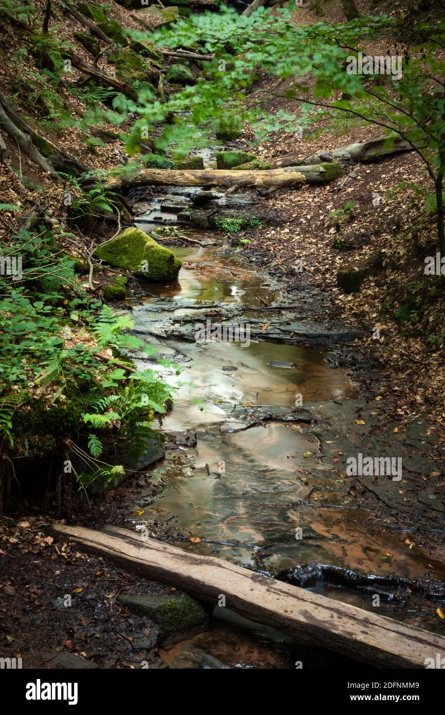 Very small stream at Elendsklamm in the Palatinate Forest of Germany ...