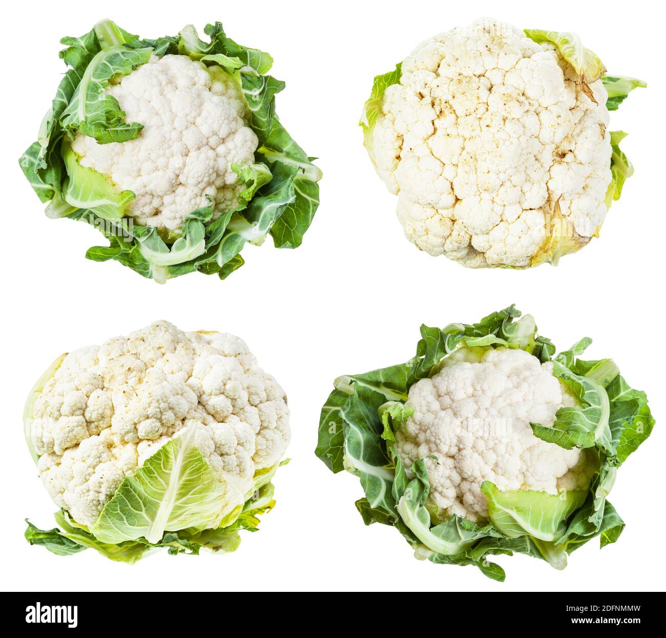 collection of fresh ripe Cauliflowers isolated on white background ...