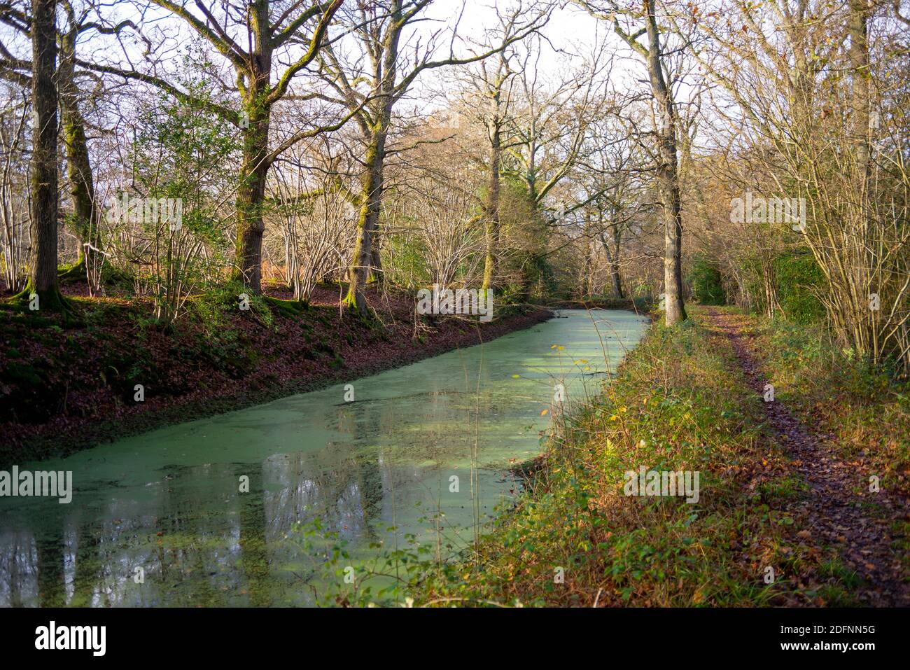 Canal towpath wildlife hi-res stock photography and images - Alamy