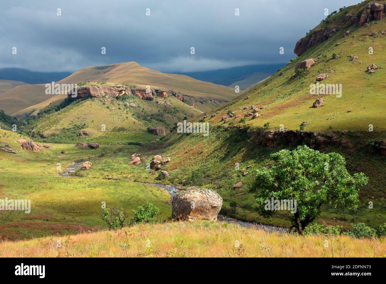 Scenic drakensberg mountain landscape, Giants Castle nature reserve ...