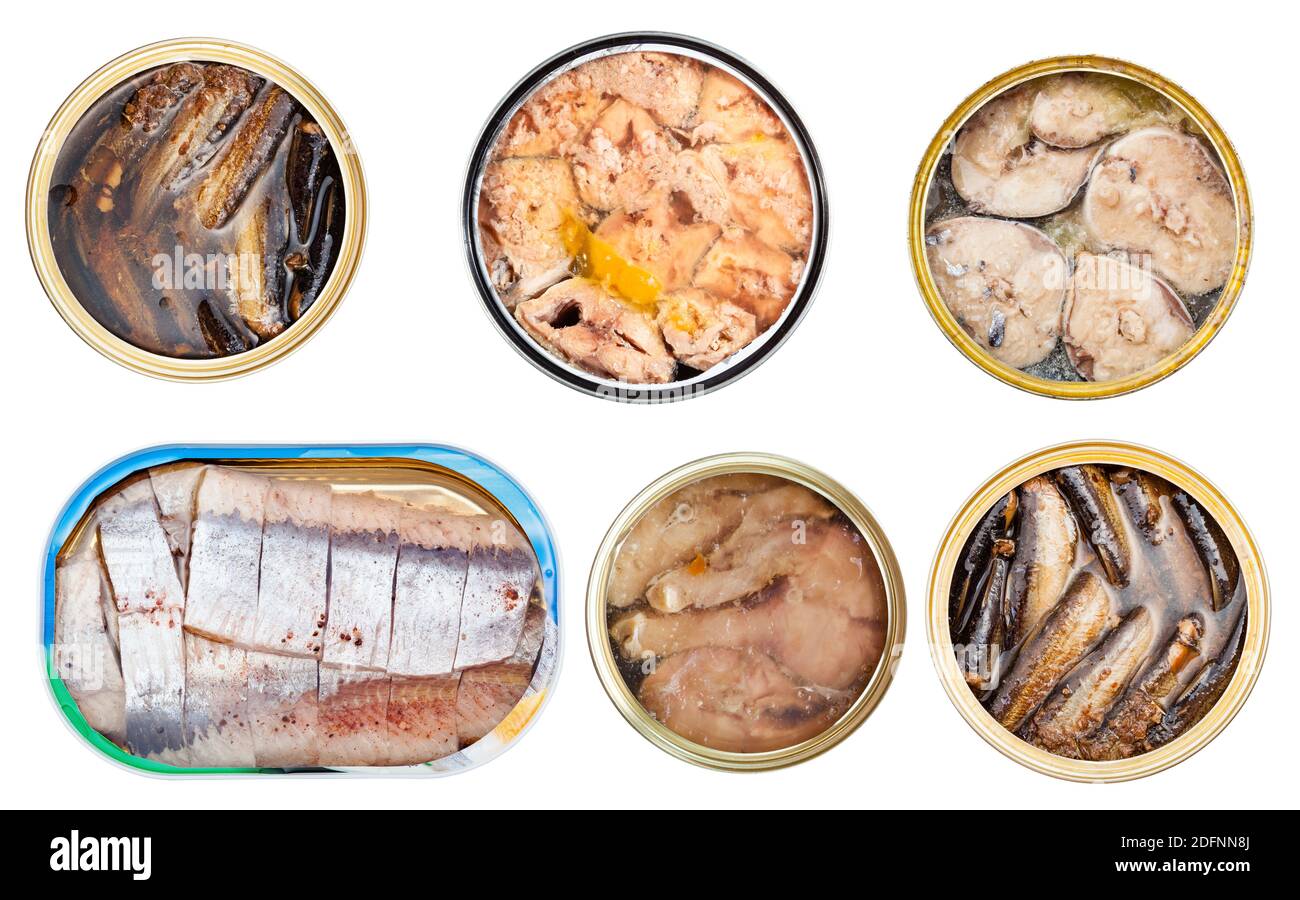 collection of canned fishes isolated on white background Stock Photo ...
