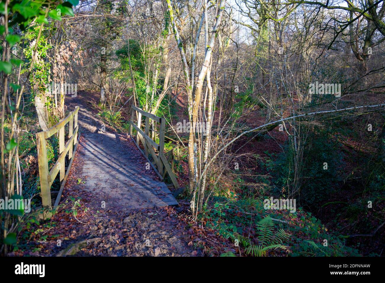 Part of the Wey South Path public footpath through Fir Tree Copse ...