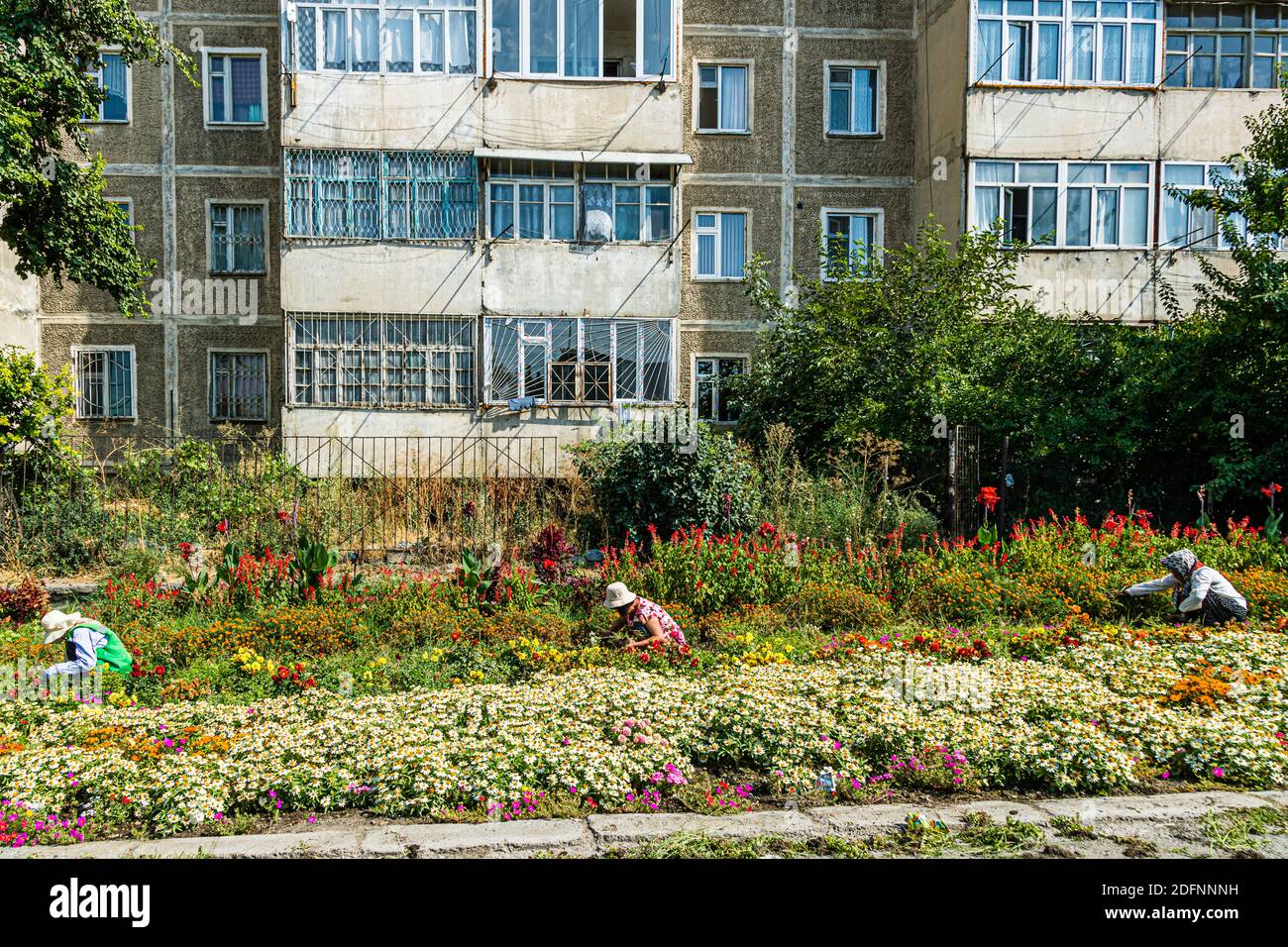 Garden maintenance between prefabricated buildings in the City of Osh ...