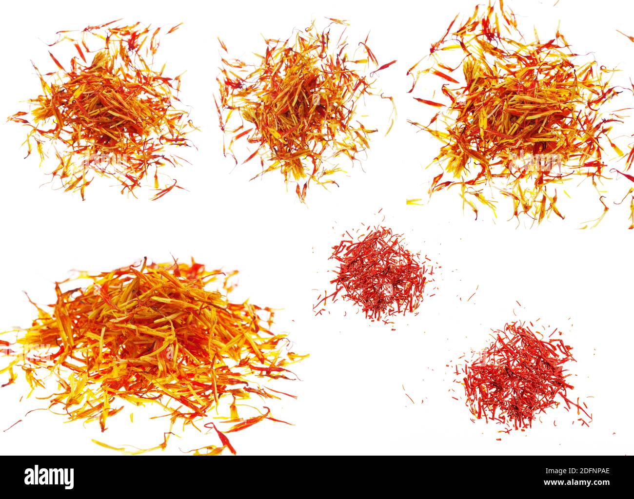 Red and yellow stigmas of Crocus and pink Saffron close up isolated on ...