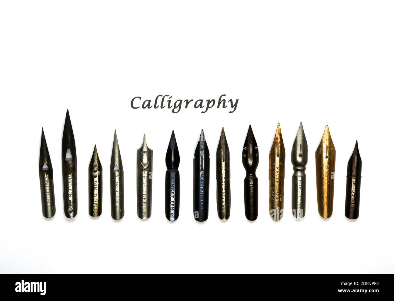 Photo of a Row of Calligraphy and score writing metal nibs against a ...