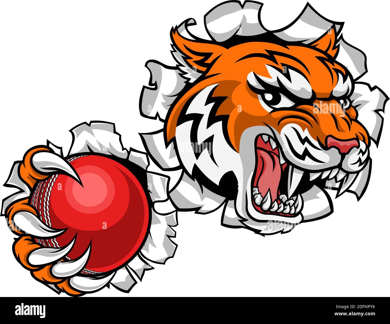 Tiger Cricket Player Animal Sports Mascot Stock Vector Image & Art - Alamy