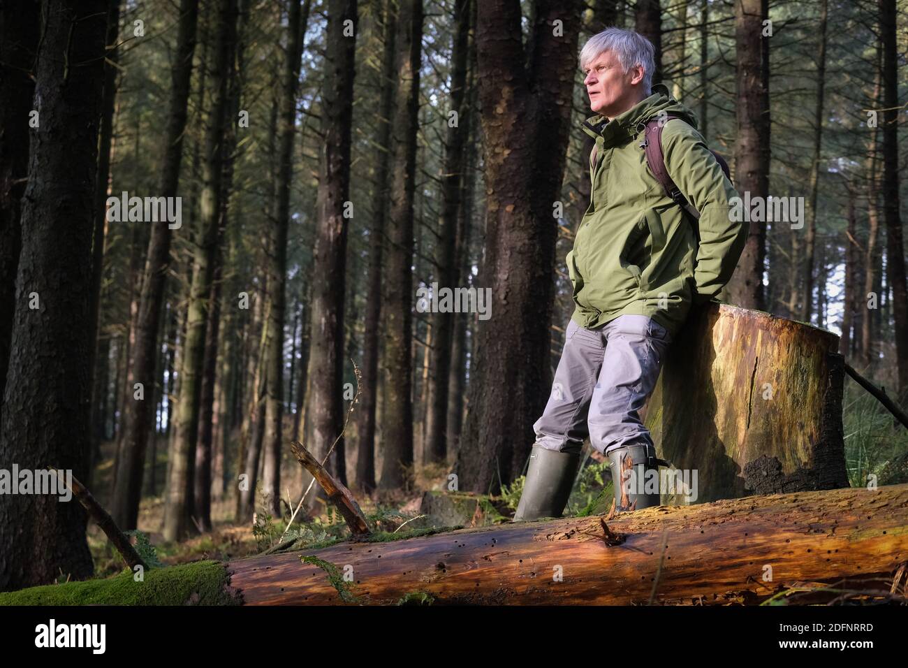Beacon Fell, Country Park, Countryside, Forest of Bowland, Forestry ...