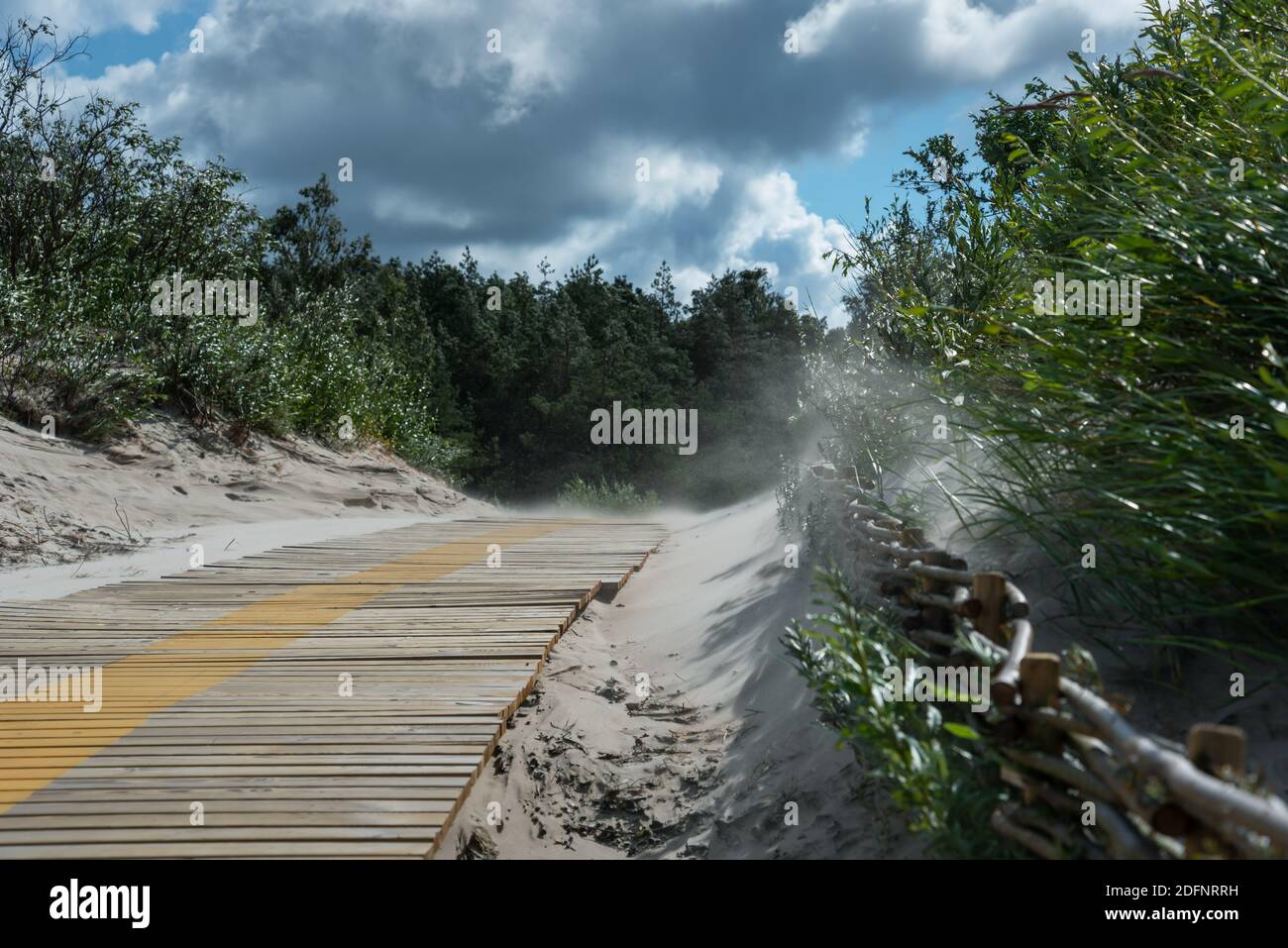 View to the dune path in a windy day Stock Photo - Alamy