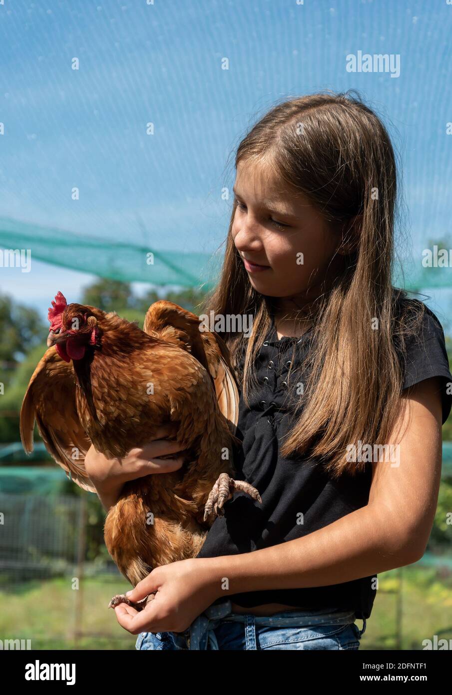 Beautiful girl with brown hen Stock Photo - Alamy