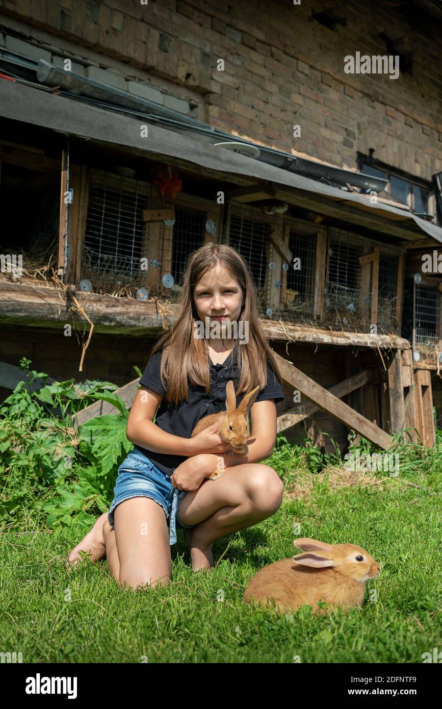Child rabbit hutch hi-res stock photography and images - Alamy