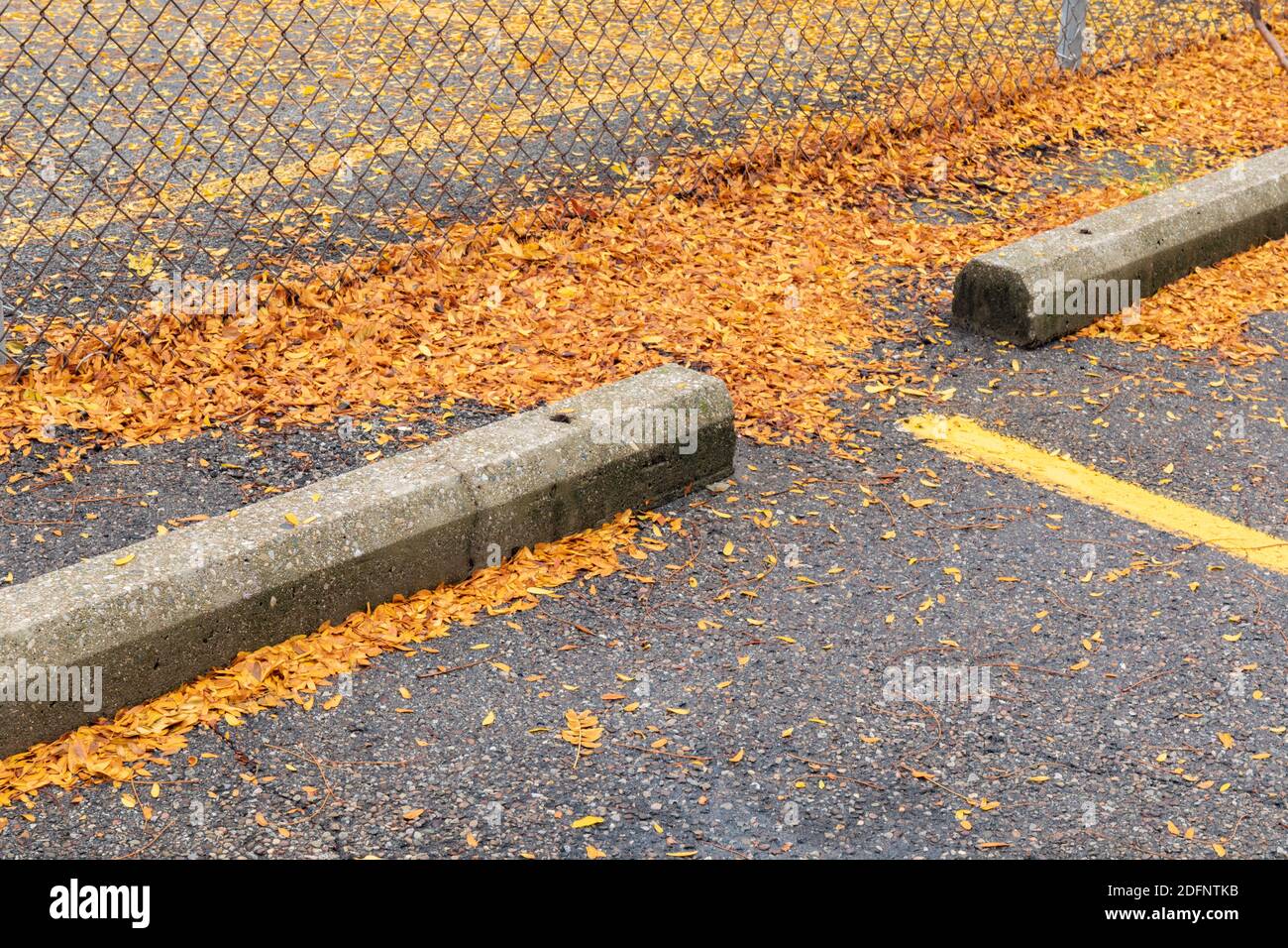 Parking Lot Curb High Resolution Stock Photography and Images - Alamy