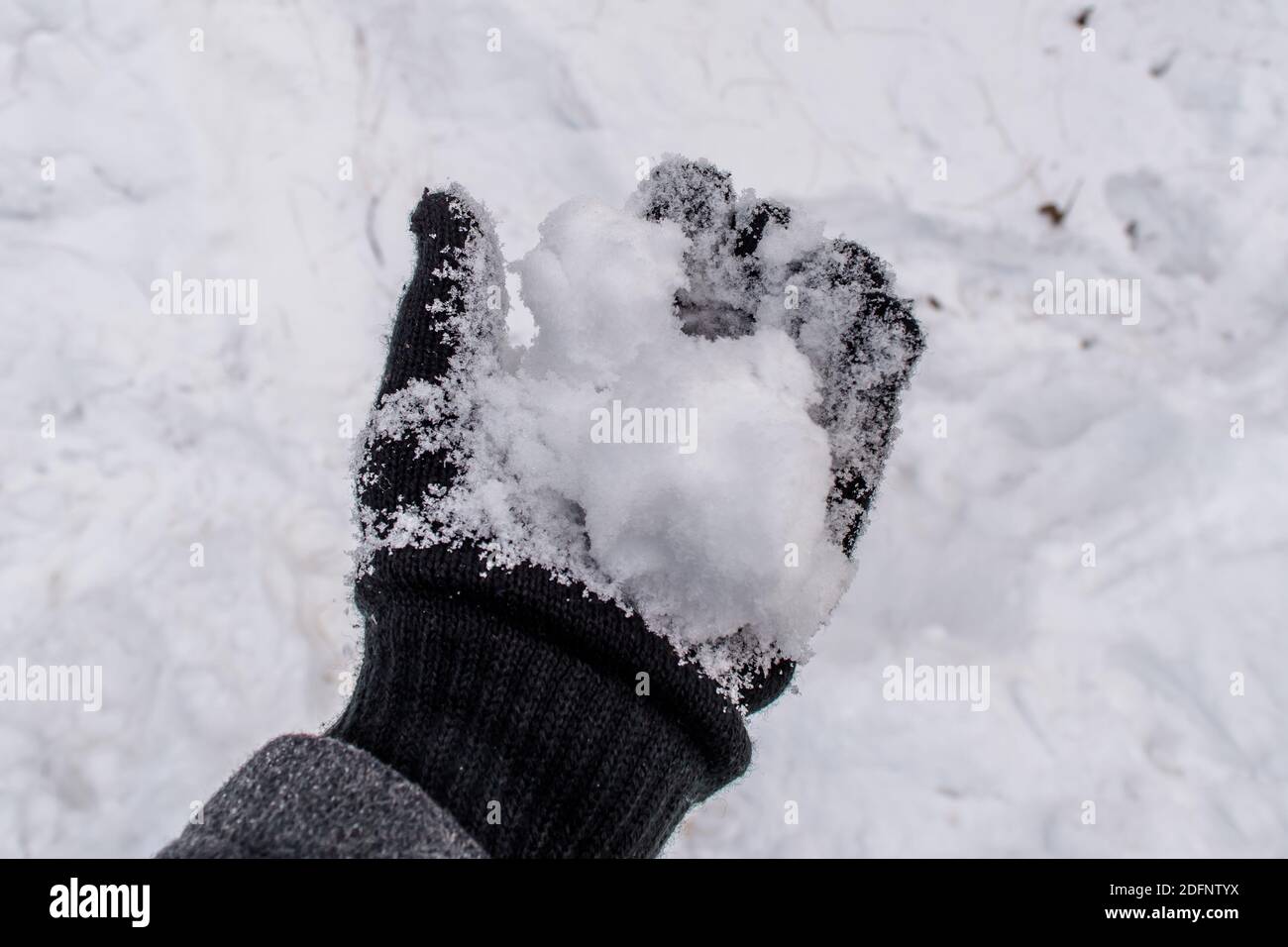 playing with snow in hand, Winter landscape Stock Photo - Alamy