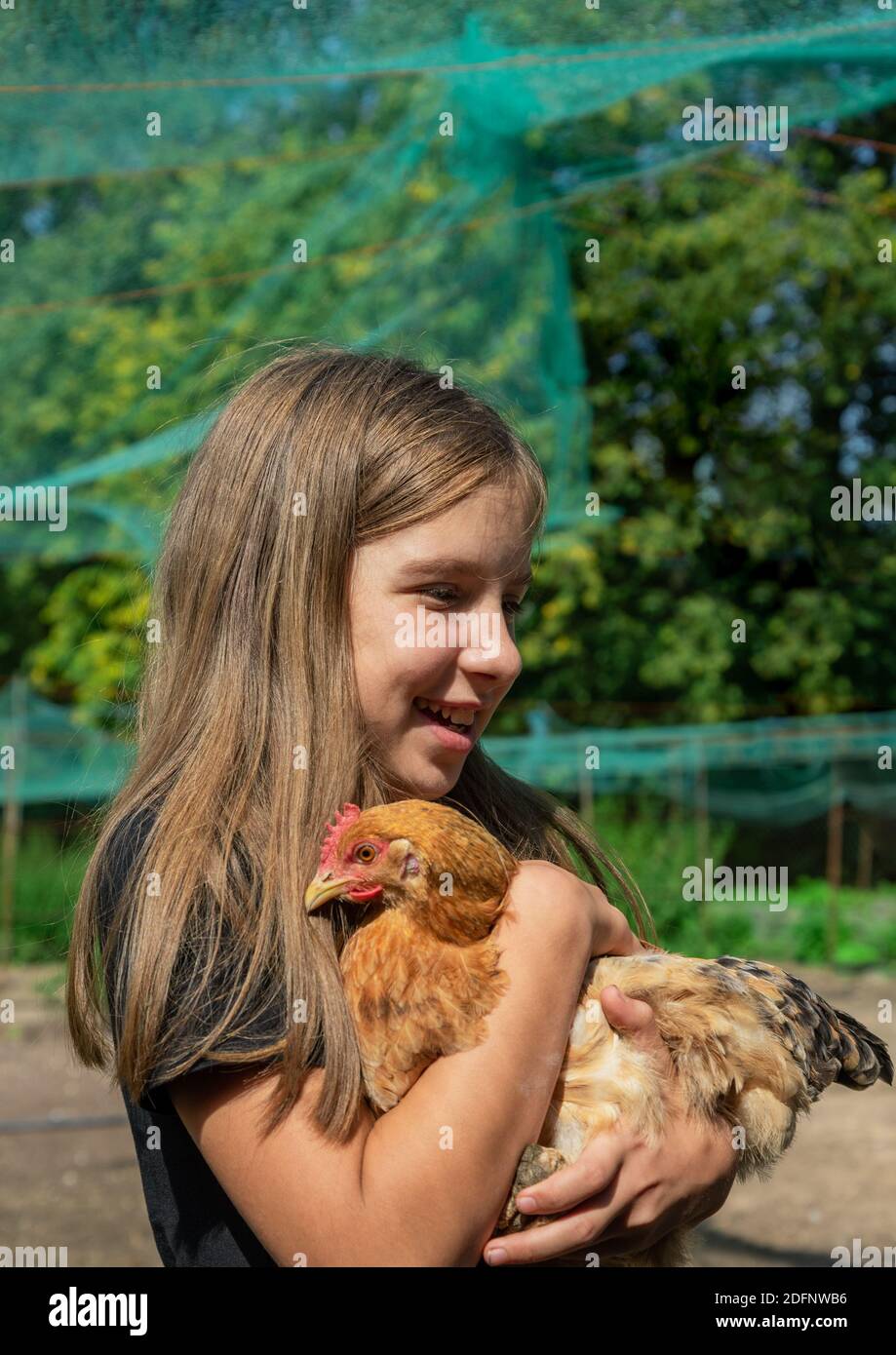 Beautiful girl with brown hen Stock Photo - Alamy