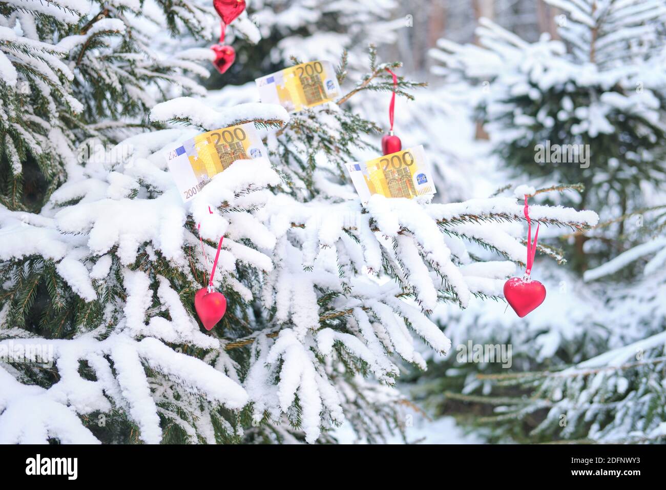 Money in euros on a Christmas tree with heart decorations, concept. New ...