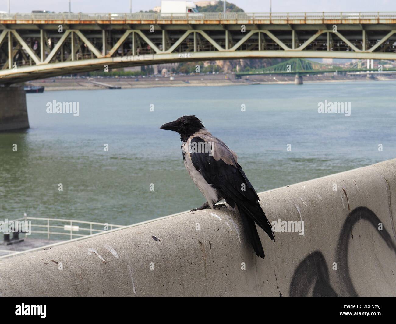 Concrete railing hi-res stock photography and images - Alamy