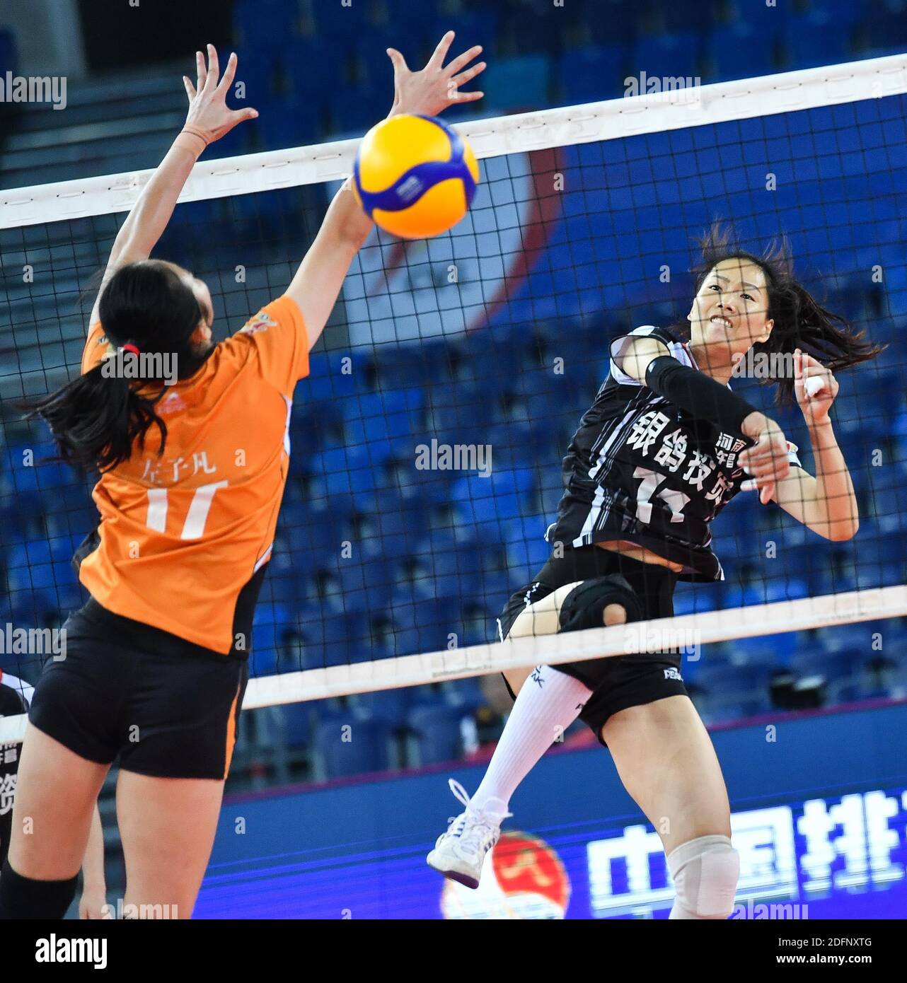 Weiwei liu hi-res stock photography and images - Alamy