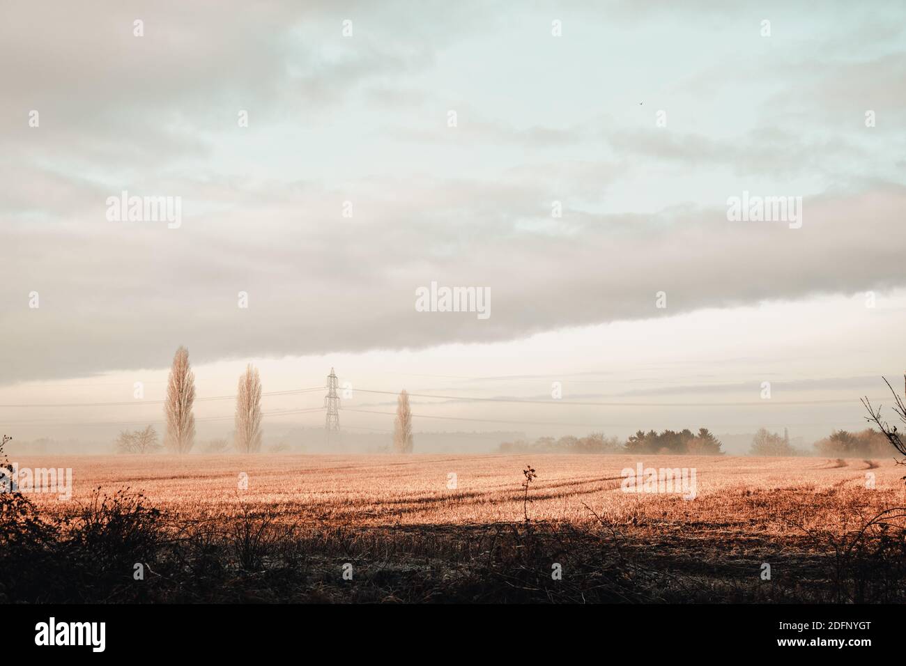 Frosty mist hi-res stock photography and images - Alamy