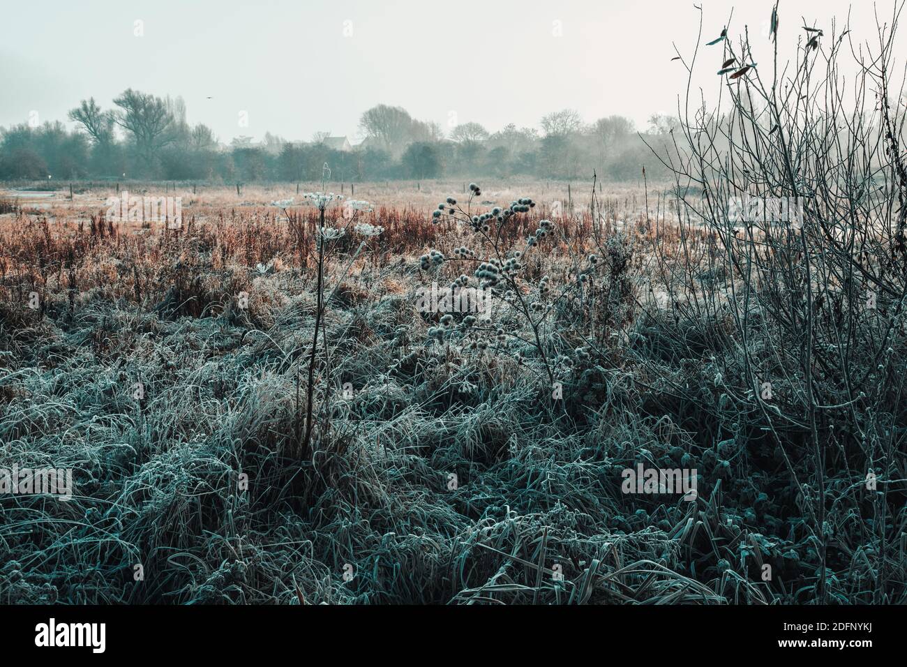 Frosty mist hi-res stock photography and images - Alamy