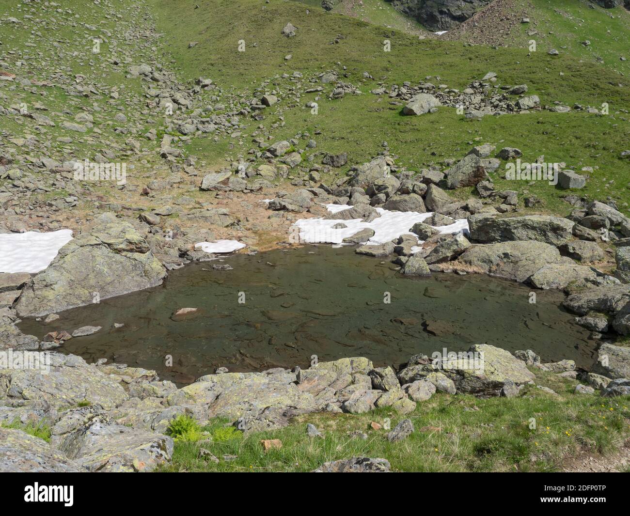 small pond from melting snow with rock and stones at alpine meadow ...
