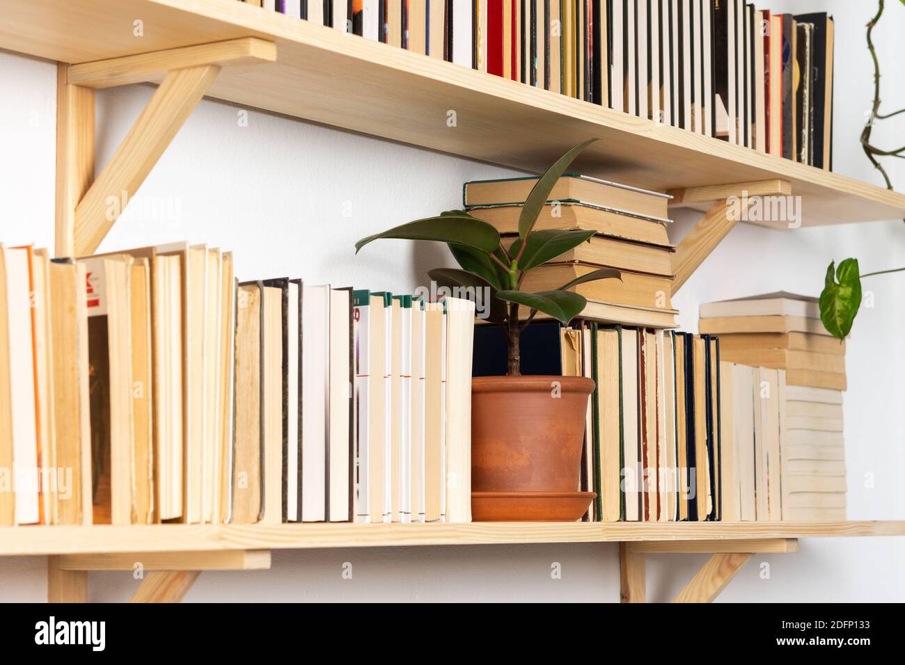 Light wooden bookshelves with hardback overturned books in white ...