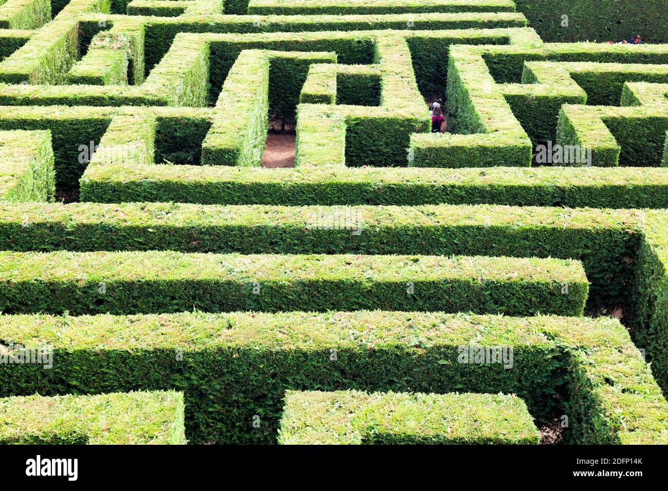 Maze of Villapresente, in Cantabria, Spain. It is Spain’s largest maze ...