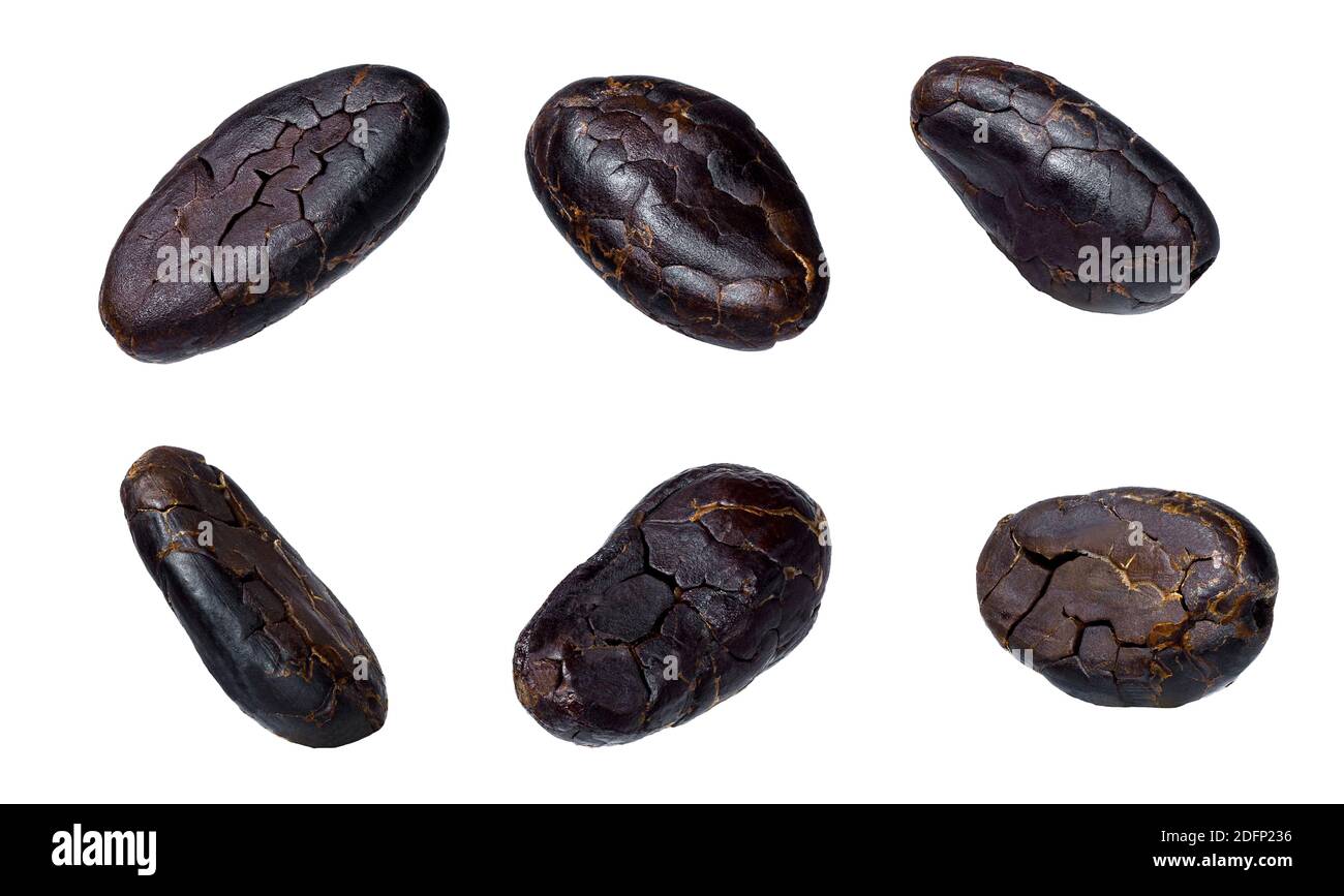 Set cocoa beans isolated Cut Out Stock Images & Pictures - Alamy