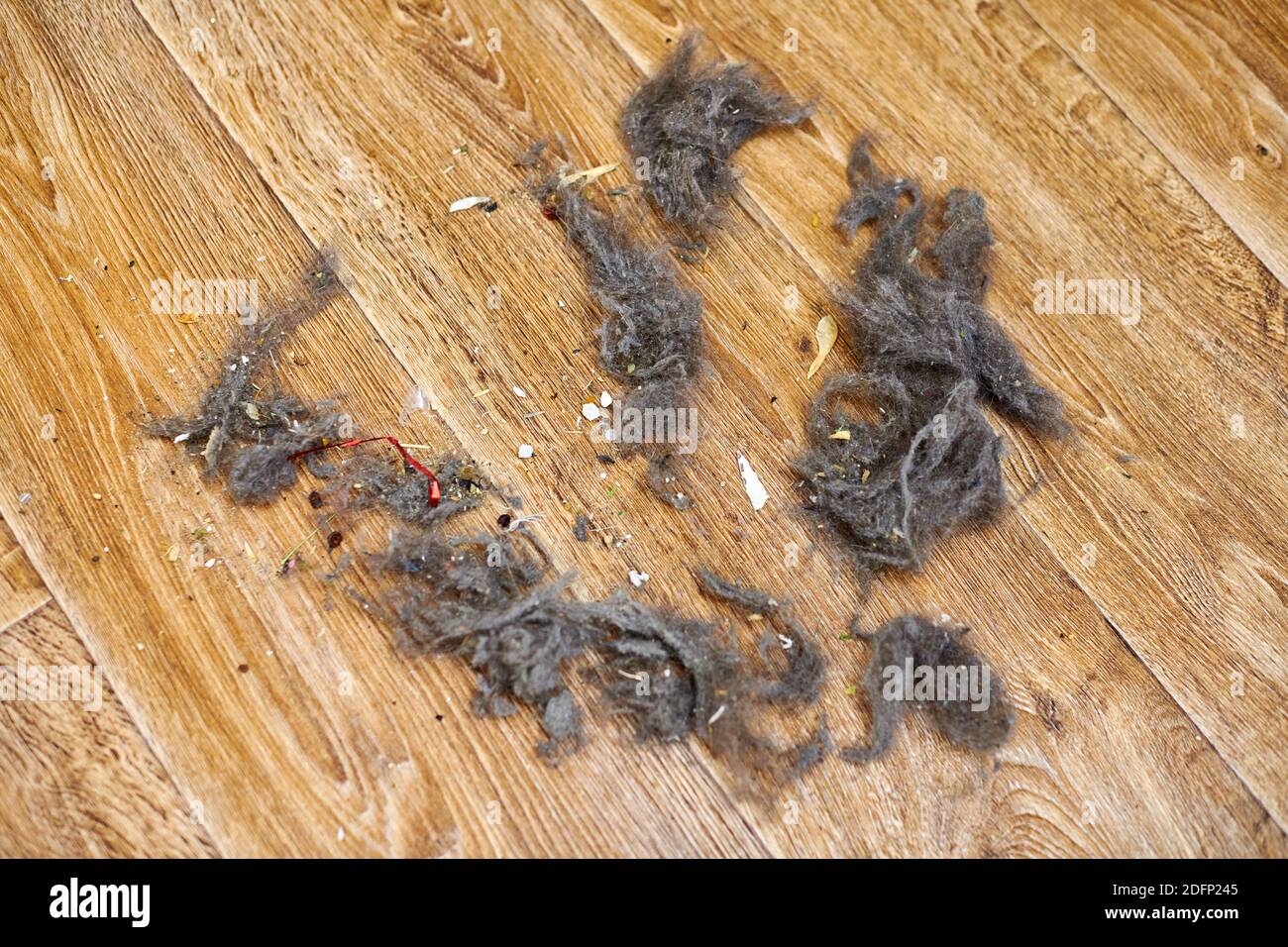 Dirt Waste High Resolution Stock Photography and Images - Alamy