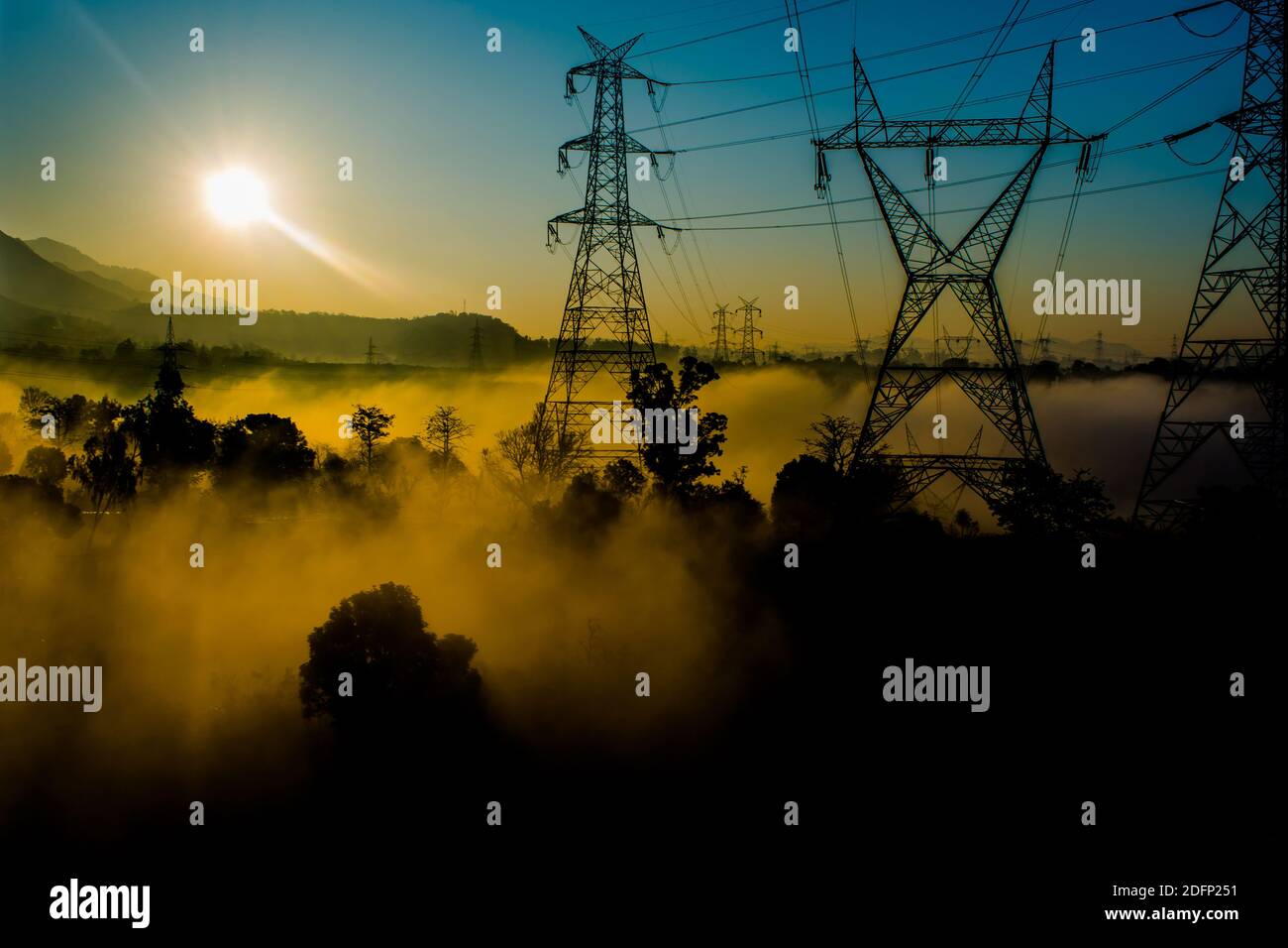 sun rays coming through the trees and electric towers with fog ...