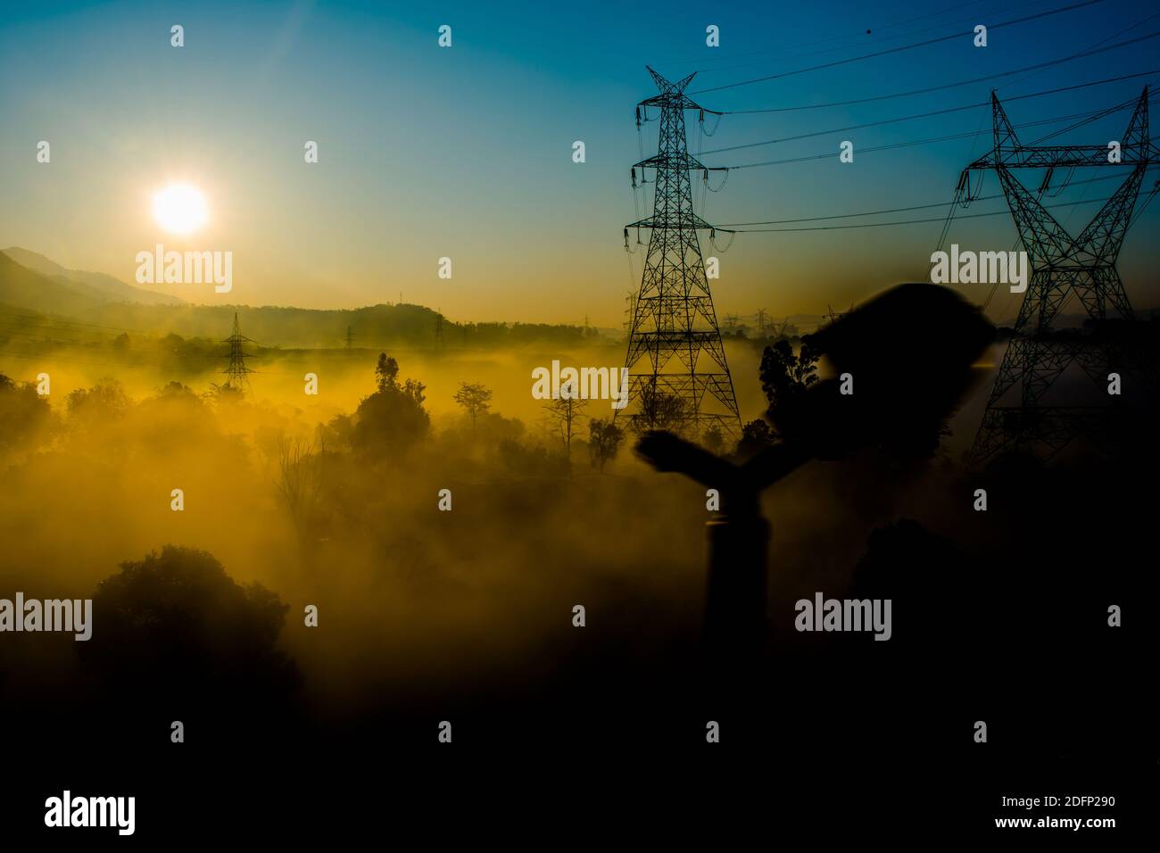 sun rays coming through the trees and electric towers with fog ...