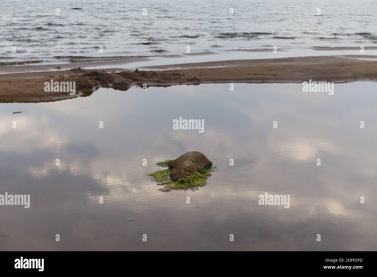 Abstract close up view of sandy sea shore with shallow water Stock ...