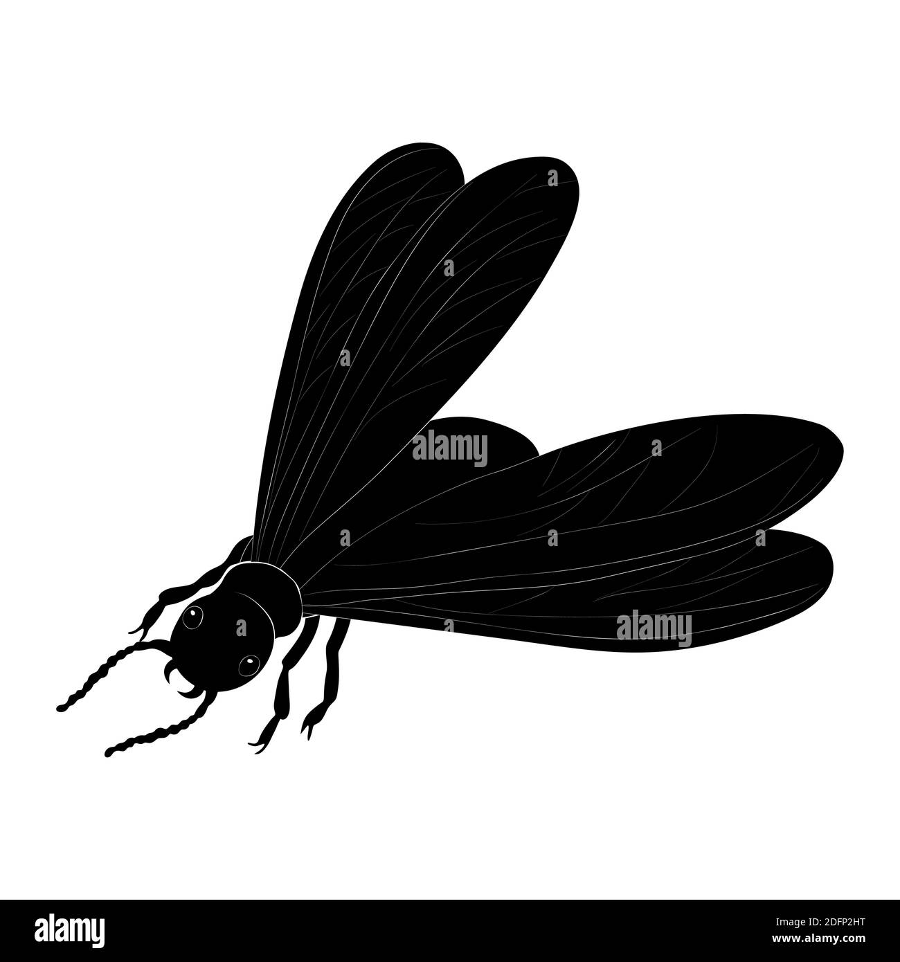 Termite insect Stock Vector Images - Alamy