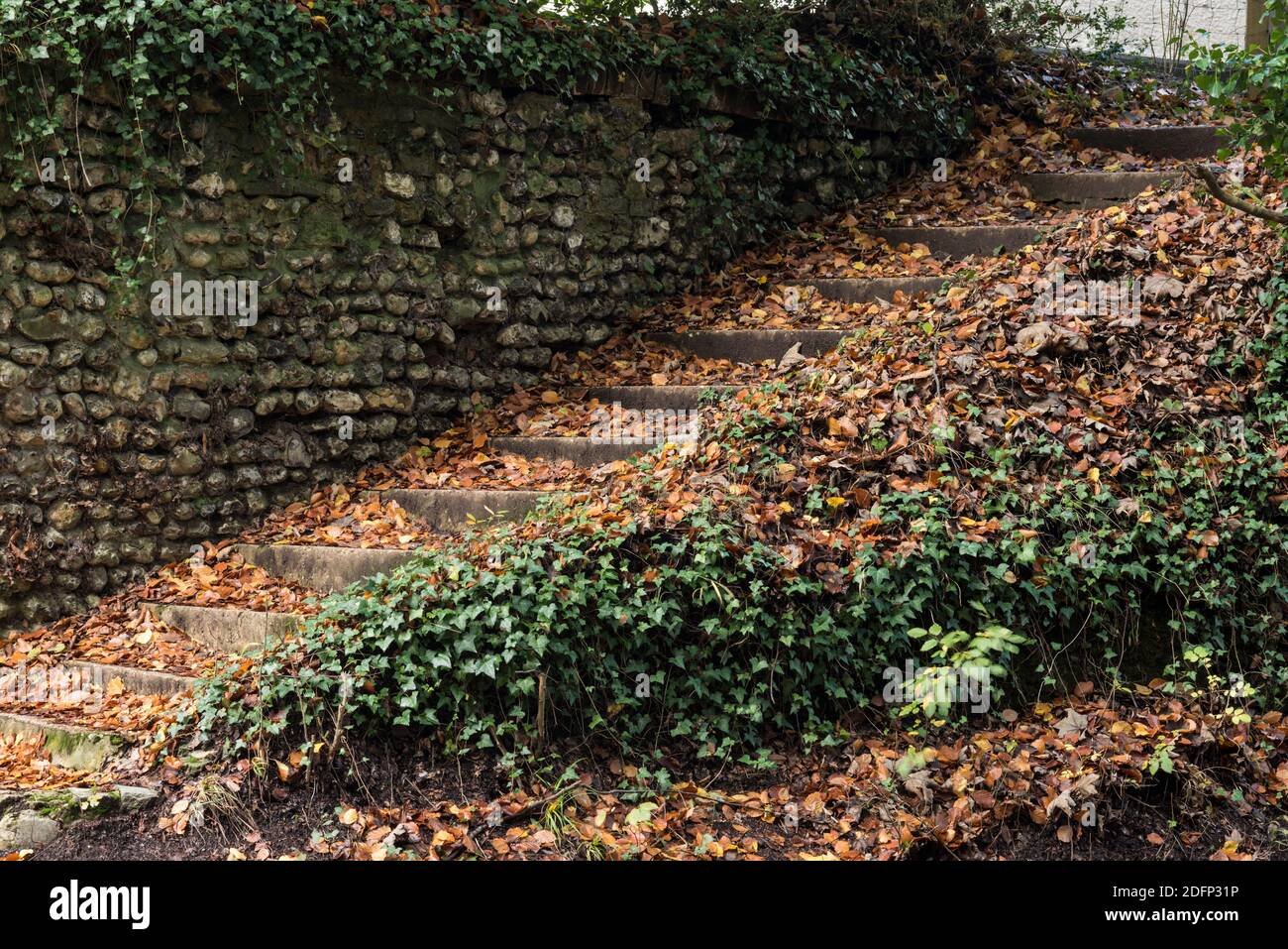 Box Hill path Stock Photo - Alamy
