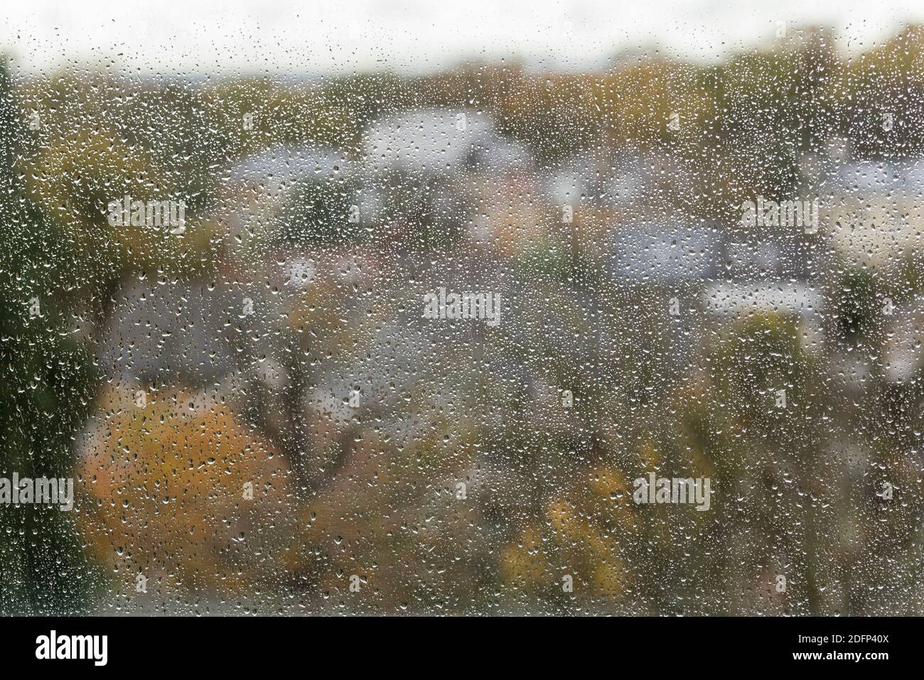 Rain drops on a window Stock Photo - Alamy
