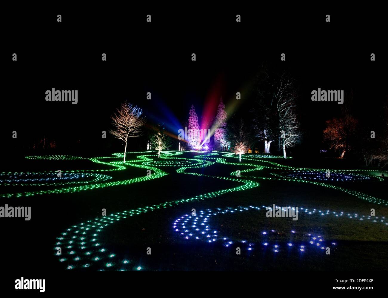 Swirling, ever-changing light patterns in a field on the Blenheim ...