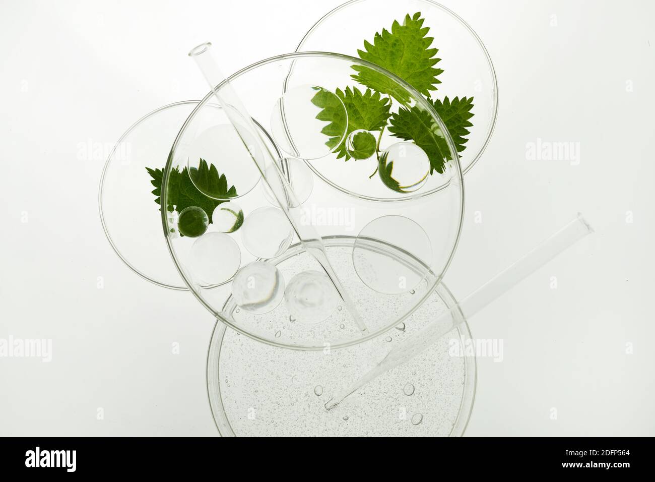 Abstract cosmetic laboratory. Chemical laboratory research. Nature ...