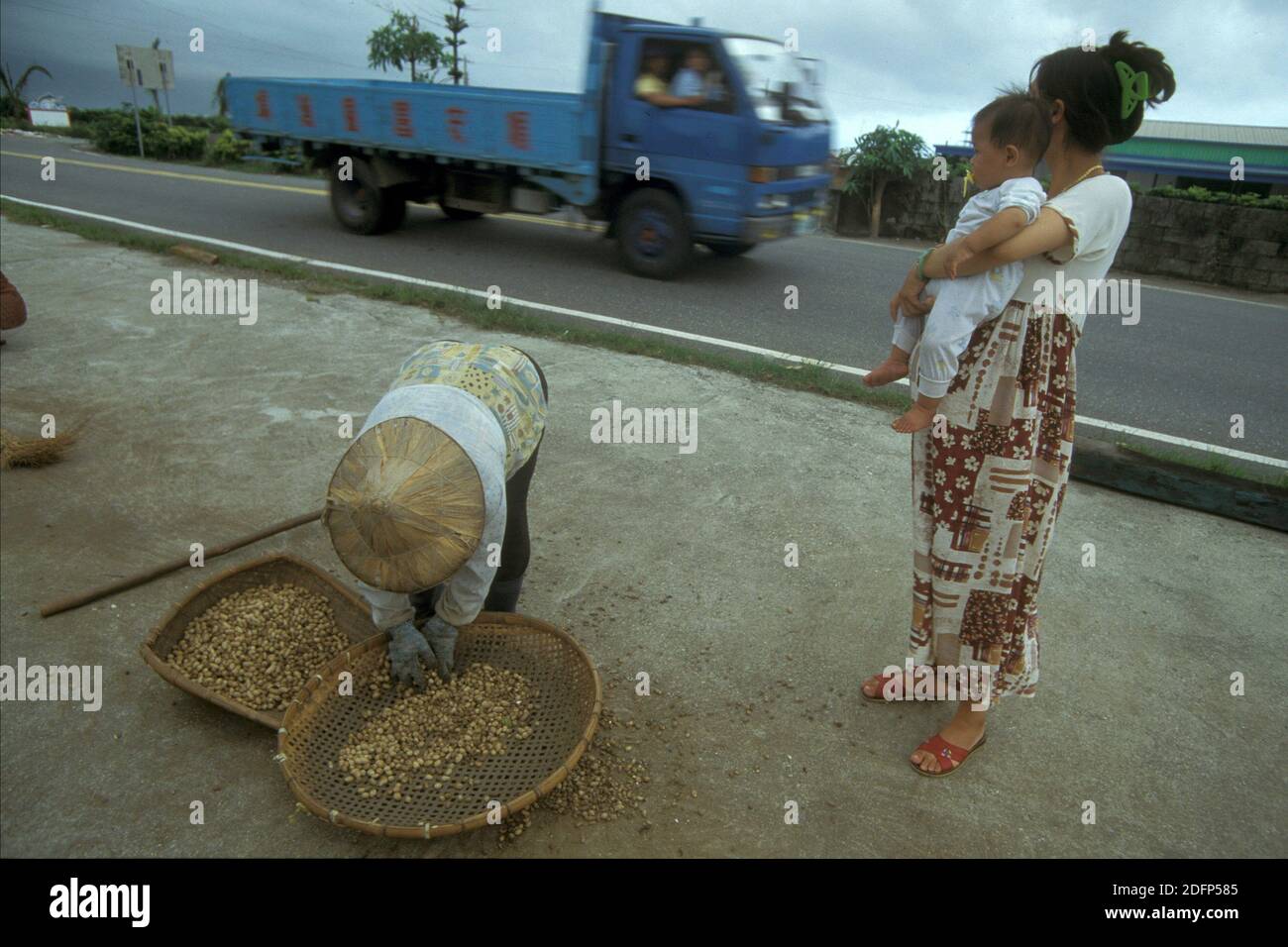 Farmer earn Peanuts at a peanut plantation naer the City of Hualien on ...