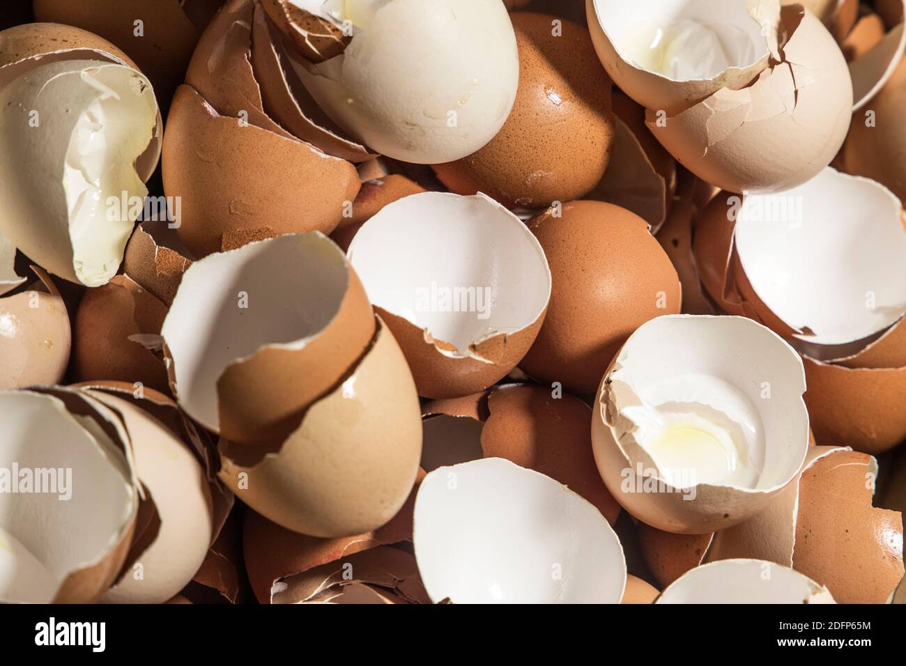 Broken egg icon hi-res stock photography and images - Alamy