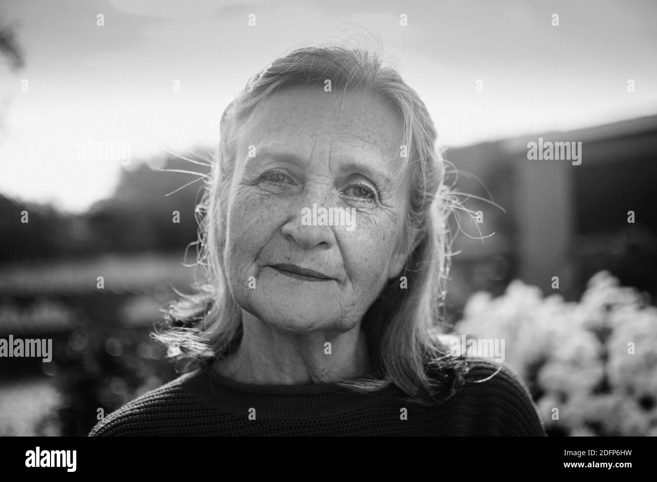 Black and white portrait of senior woman with grey hair and face with ...