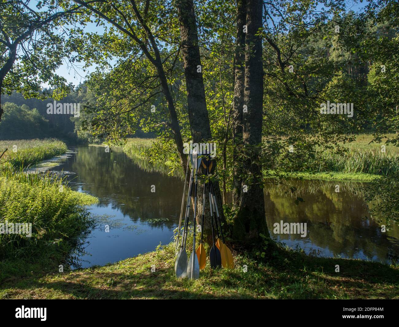 Bank Paddles High Resolution Stock Photography and Images - Alamy