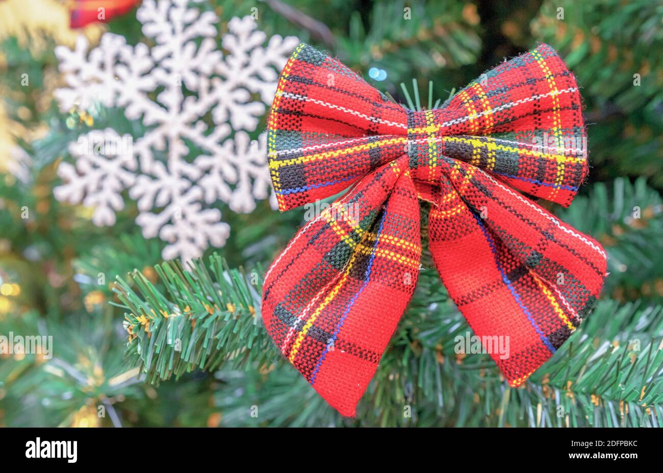 Scottish tree of the year hi-res stock photography and images - Alamy