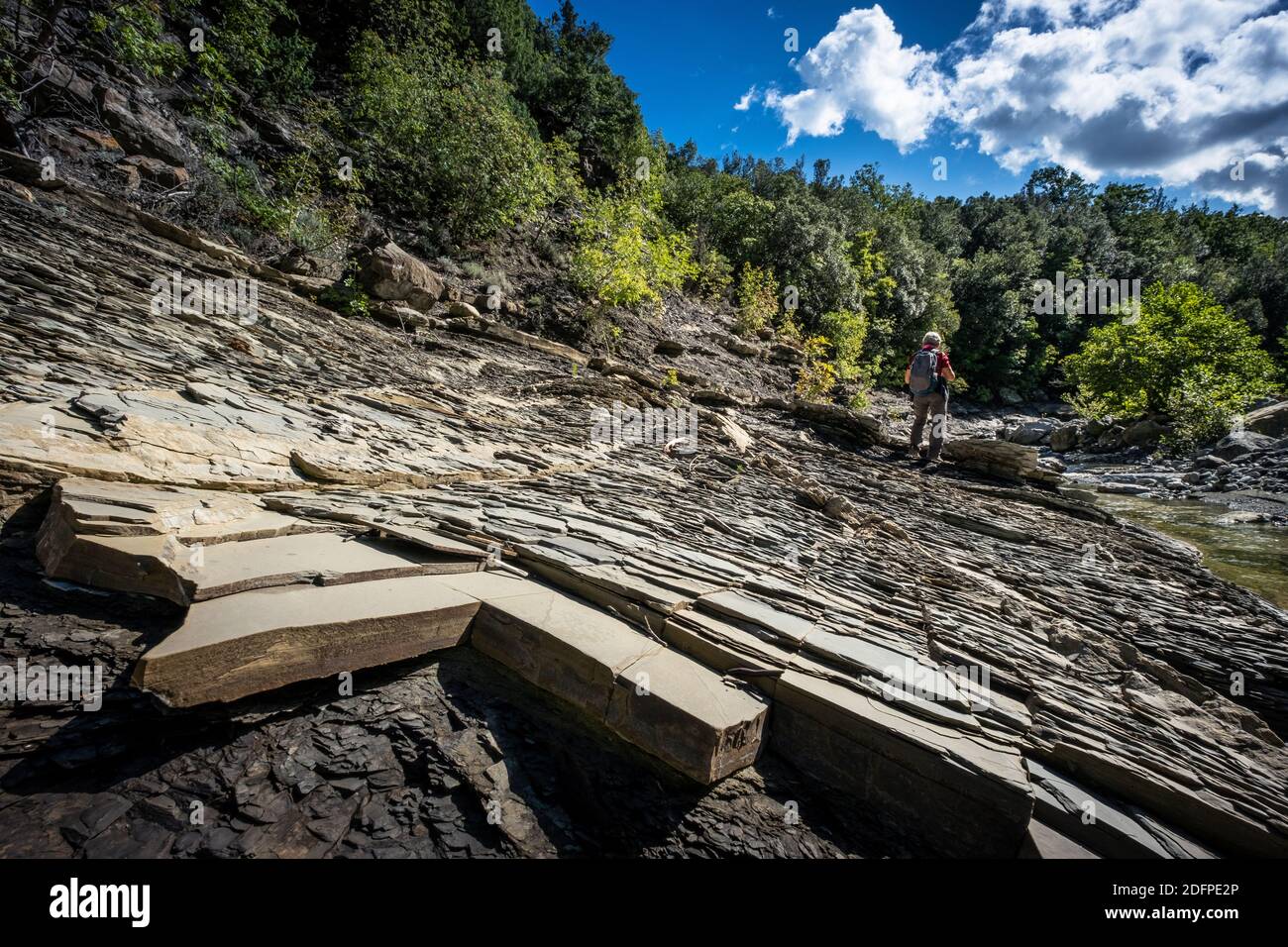 Rock formations along the Trossa stream, a tributary of the Cecina ...