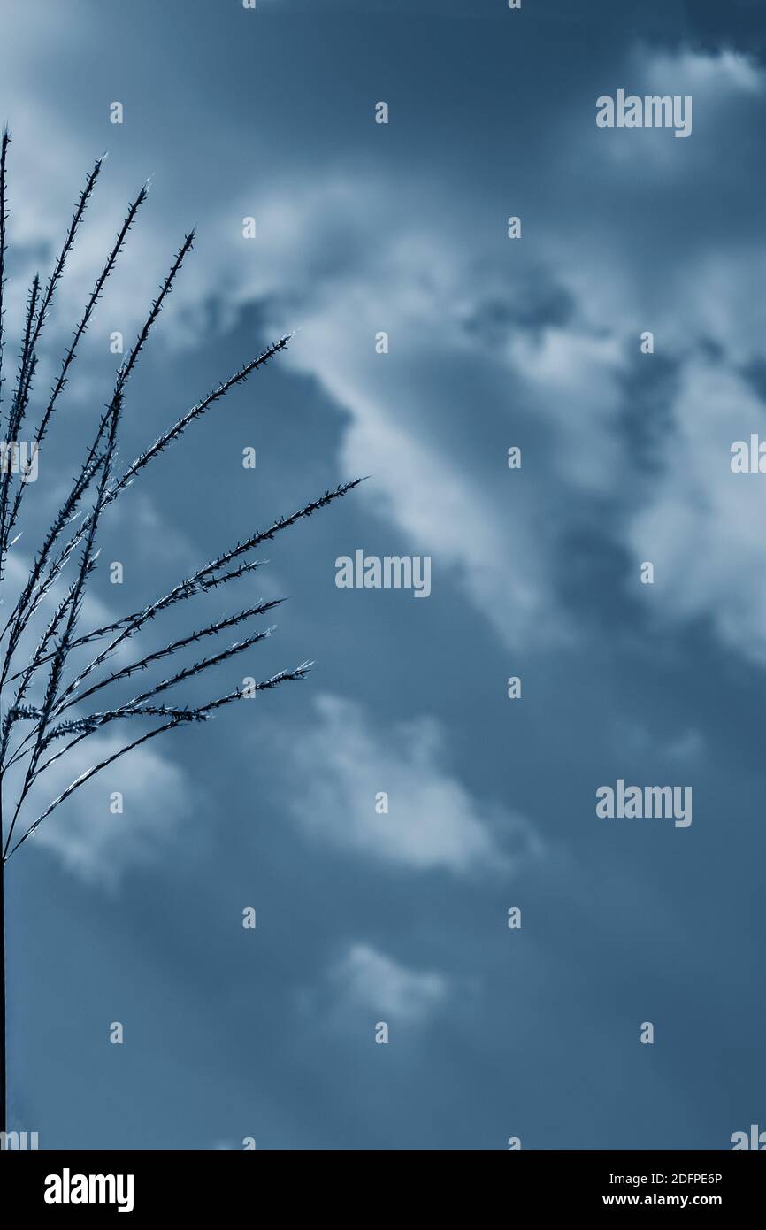 Classic blue sky view hi-res stock photography and images - Alamy