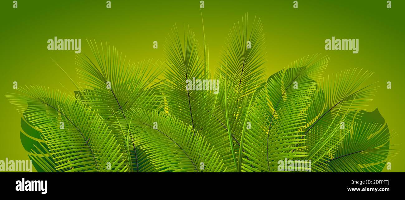 Tropical vegetation on green background. Plant leaves. Exotic ...