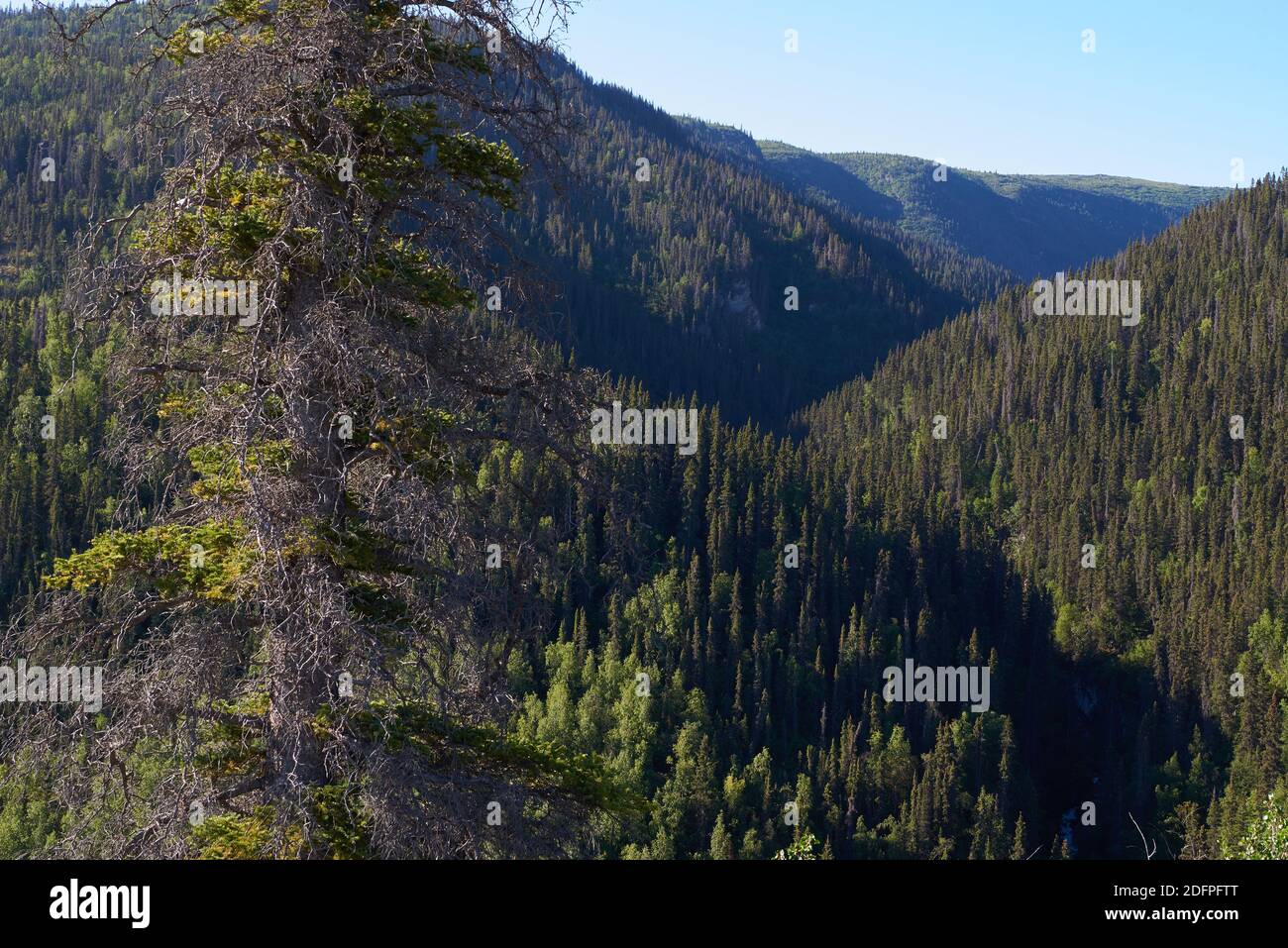 Liberty falls trail hi-res stock photography and images - Alamy