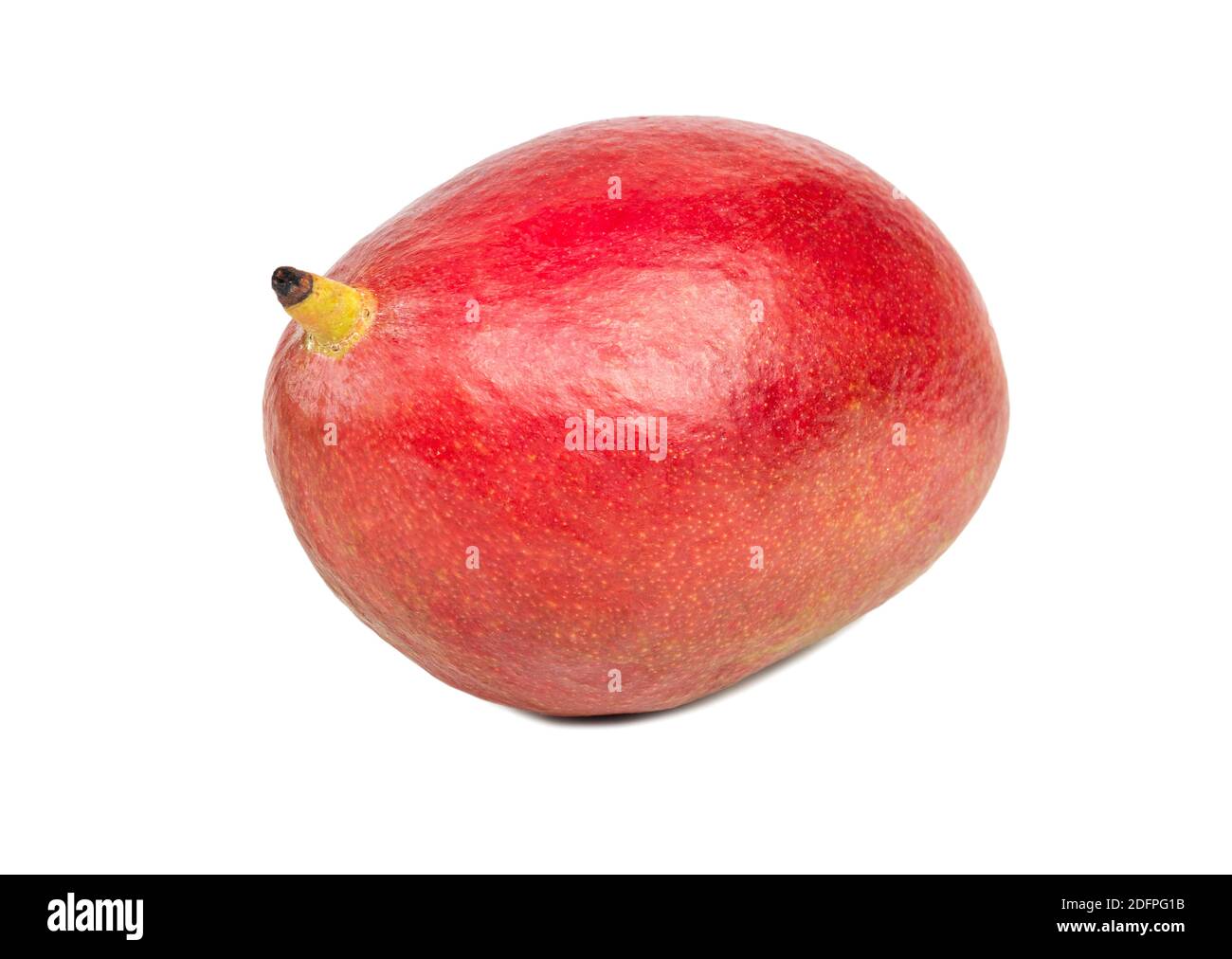 Delicious red mango fruit closeup isolated on white background Stock ...