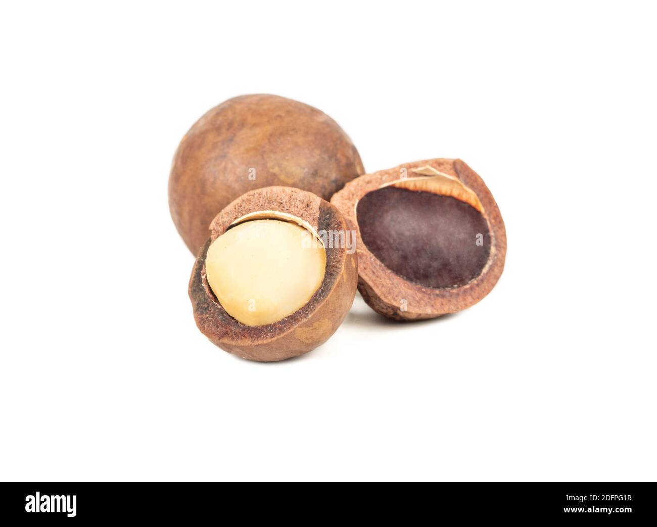 Macadamia nuts with a split half on a white background Stock Photo - Alamy