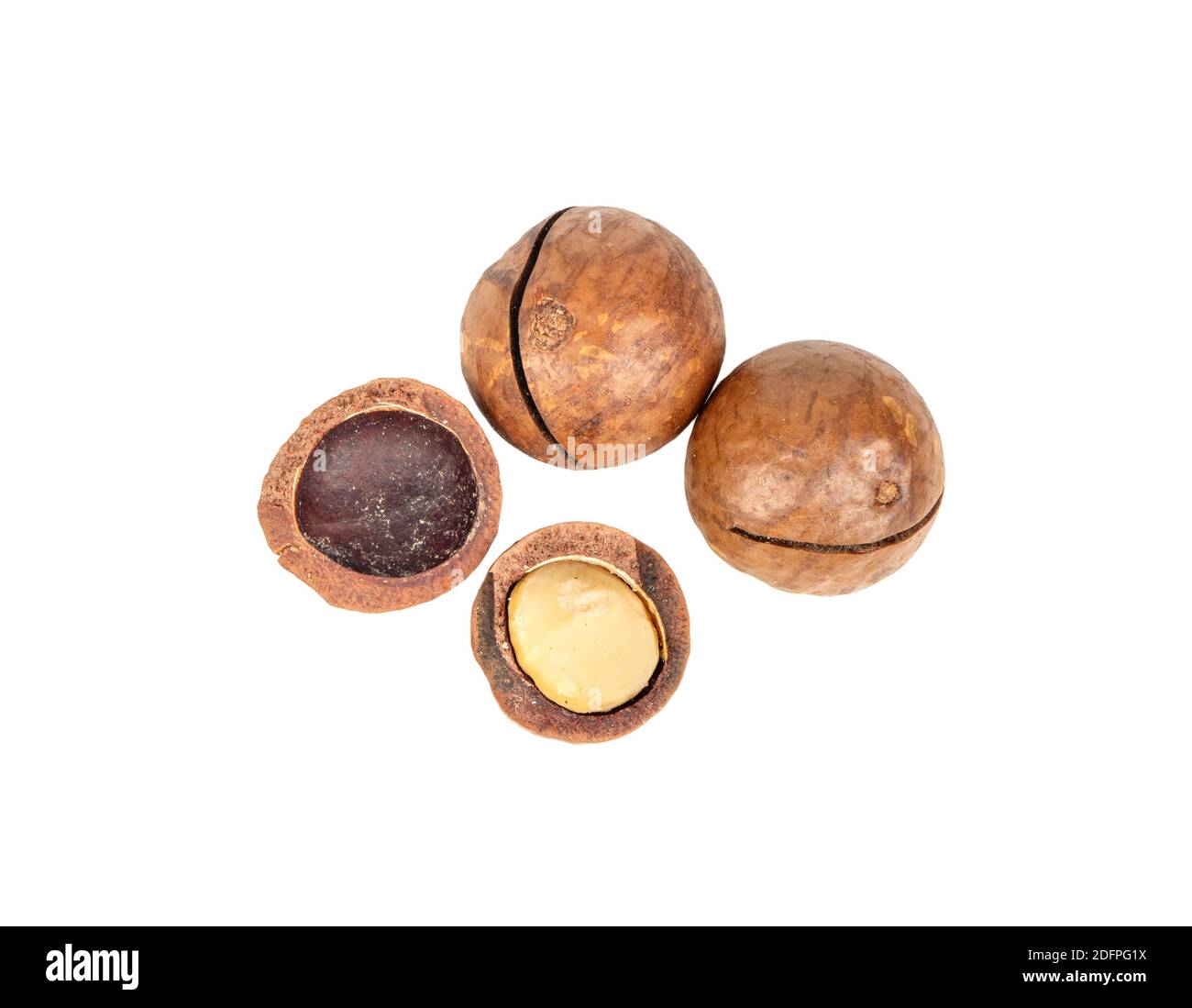 Macadamia nuts with a split half on a white background, top view Stock ...