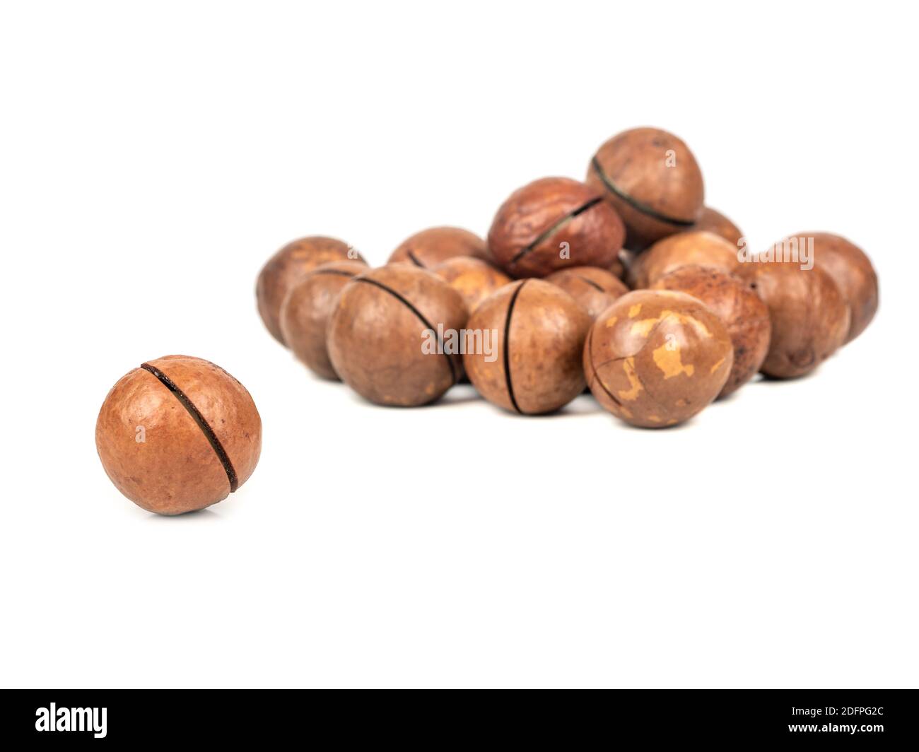Solid nut hi-res stock photography and images - Alamy