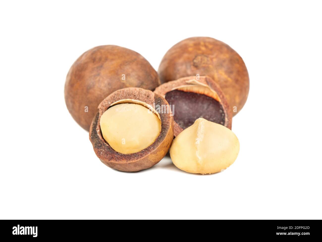 Delicious macadamia nuts with kernels on a white background Stock Photo ...